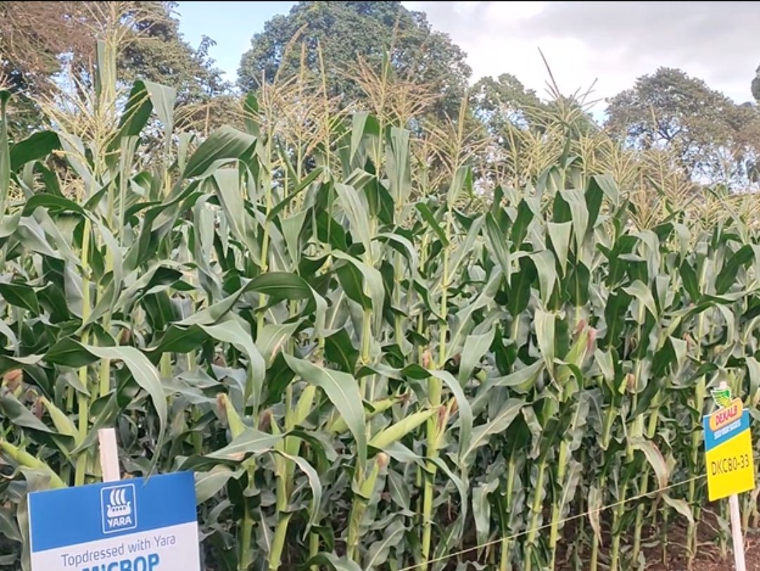Meru National Show: Embracing Climate Smart Agriculture and Trade ...